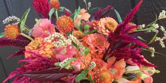 Flowers - Mossbrook Roots Flower Farm
