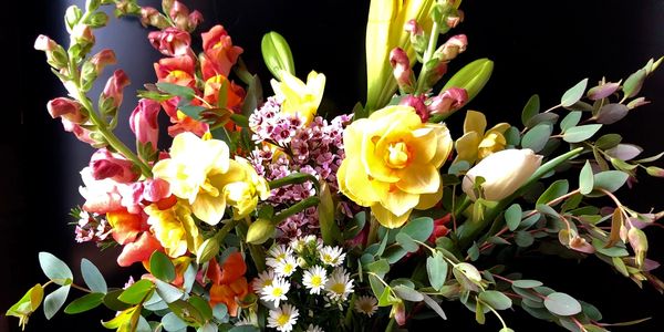 Mossbrook Roots Flower Farm - Florist - Plattsburgh, New York