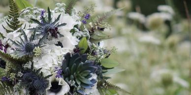 Mossbrook Roots Flower Farm - Florist - Plattsburgh, New York