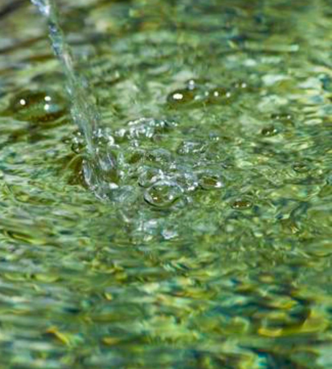 Natural Spring Water VS. Ionized Water