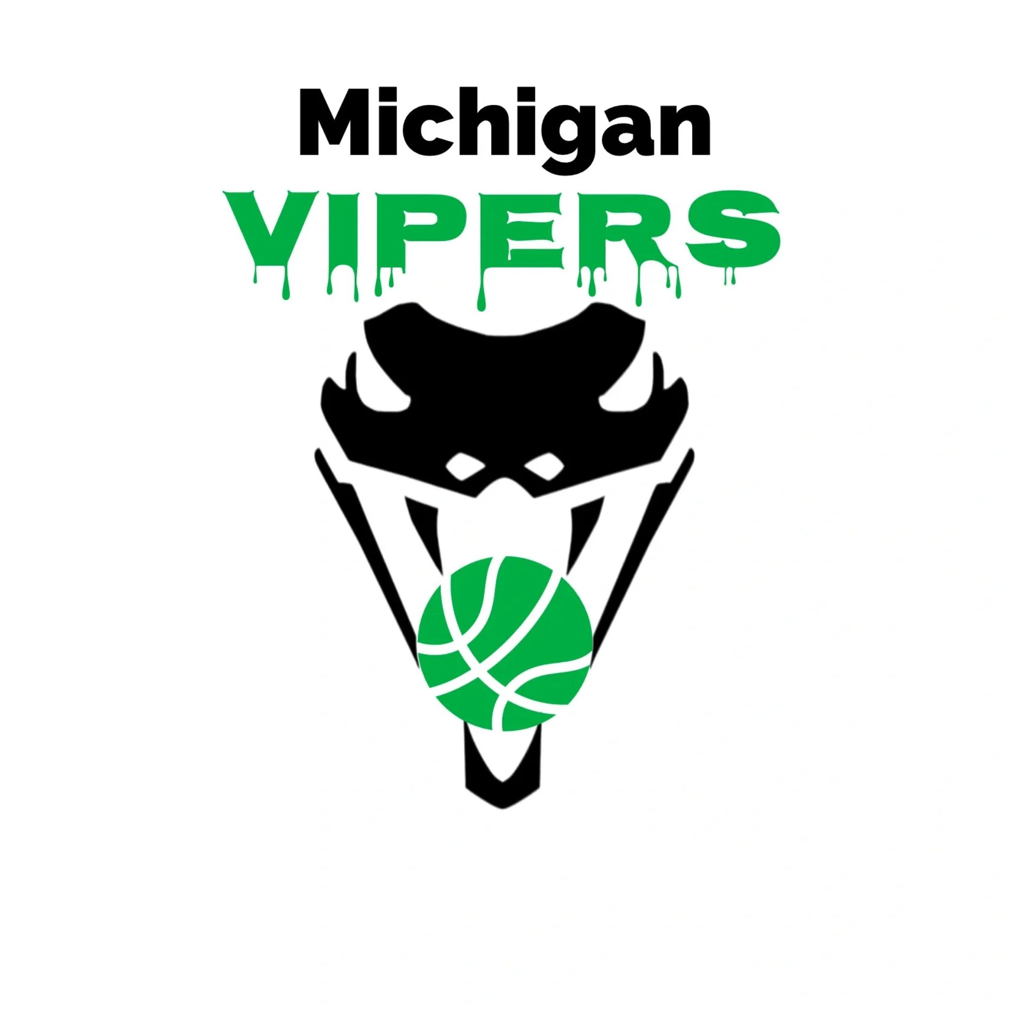 Michigan Vipers Basketball