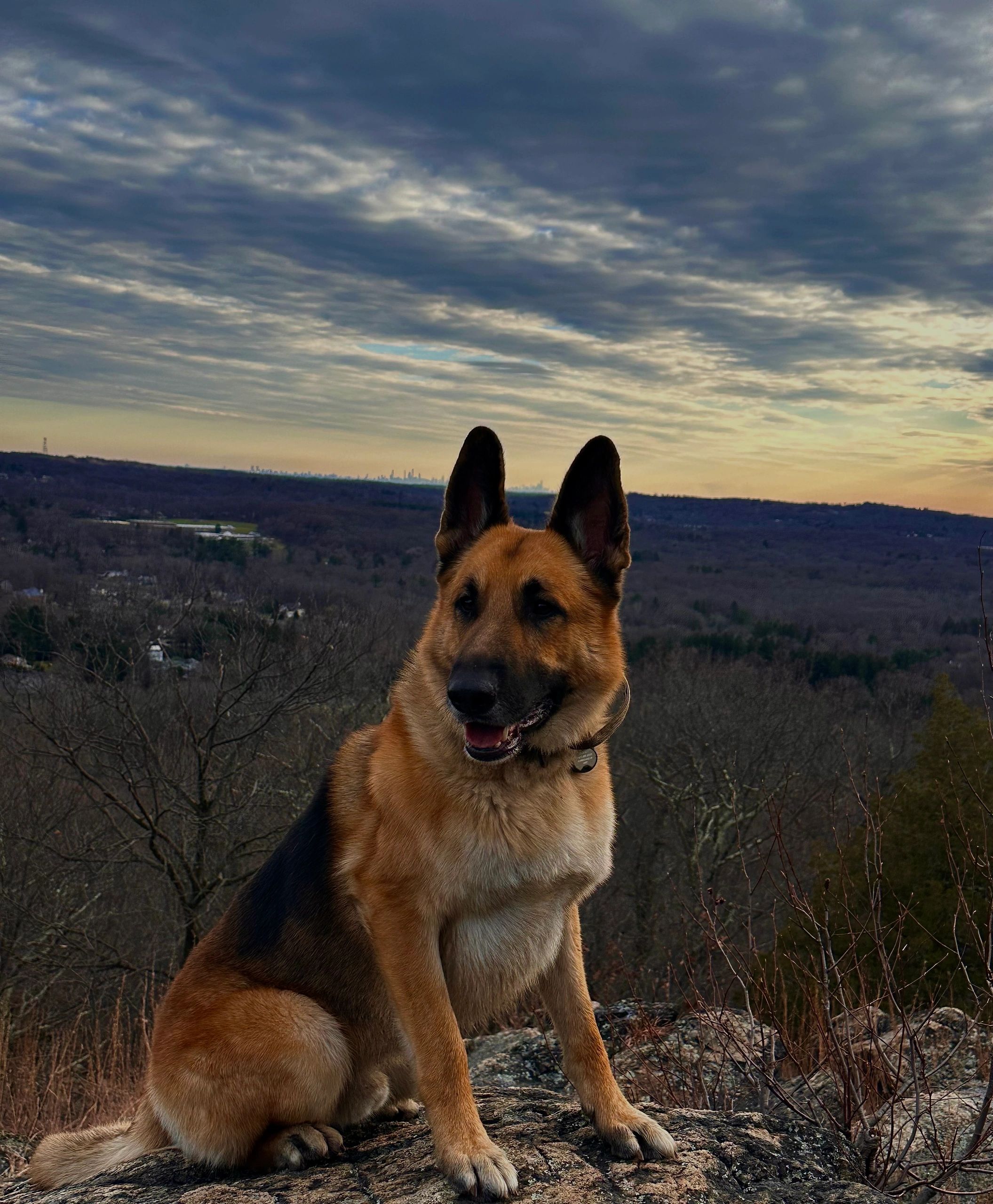 Trails For Tails