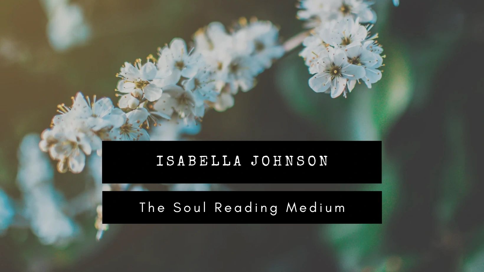 Isabella Johnson The Soul Reading Medium - Home