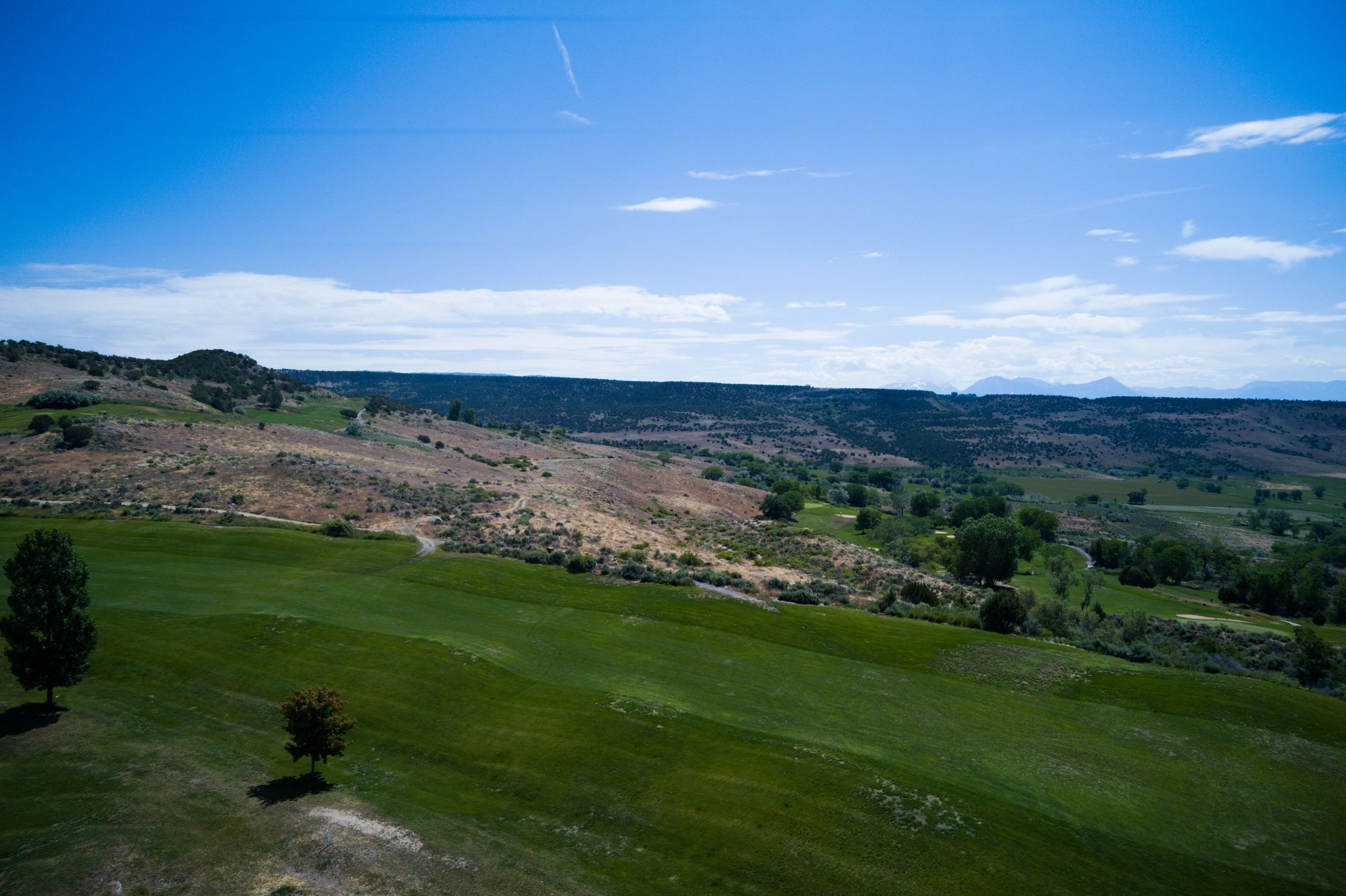 RWCLimitedColorado - Colorado ILC Survey, Drone Services