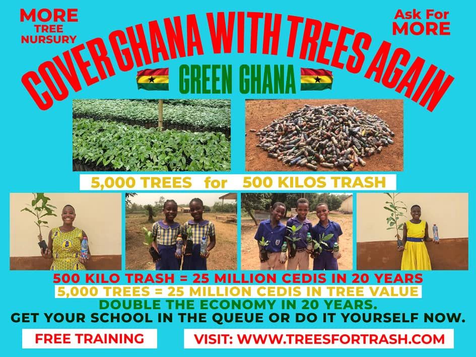 HOW IT WORKS | Trees For Trash