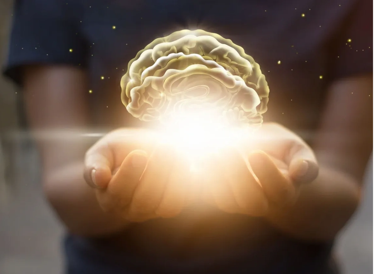 Dakota LENS Therapy - Occupational Therapy, Dakota Lens Therapy ...