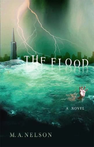 Home Page [theflood09.com]