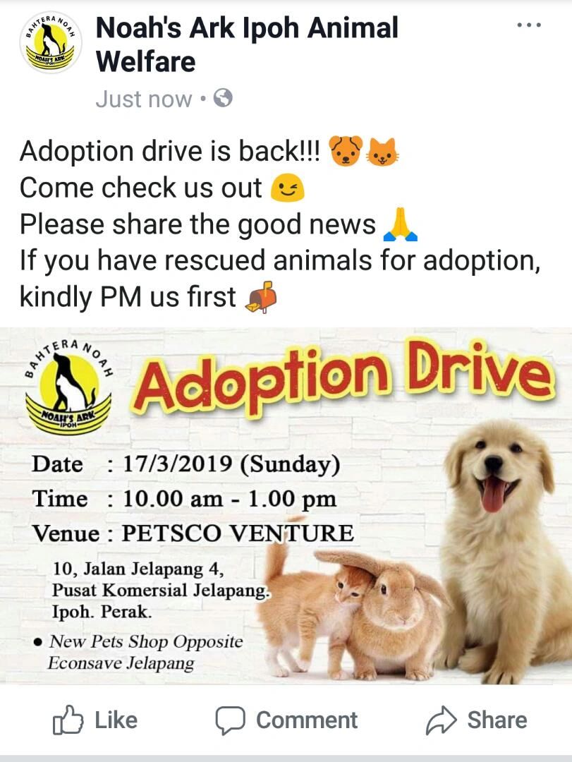 Adoption Drive