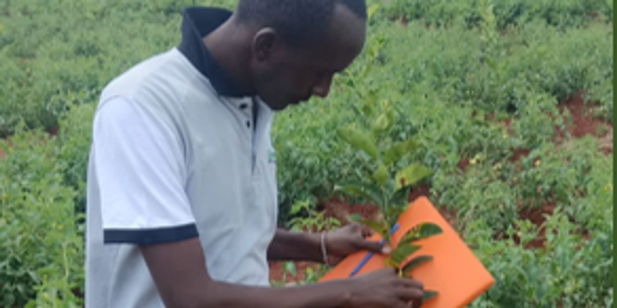 GENERAL FARM CONSULTANCY | AARON AGRONOMY SERVICES