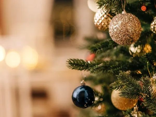 The Giving Tree Project