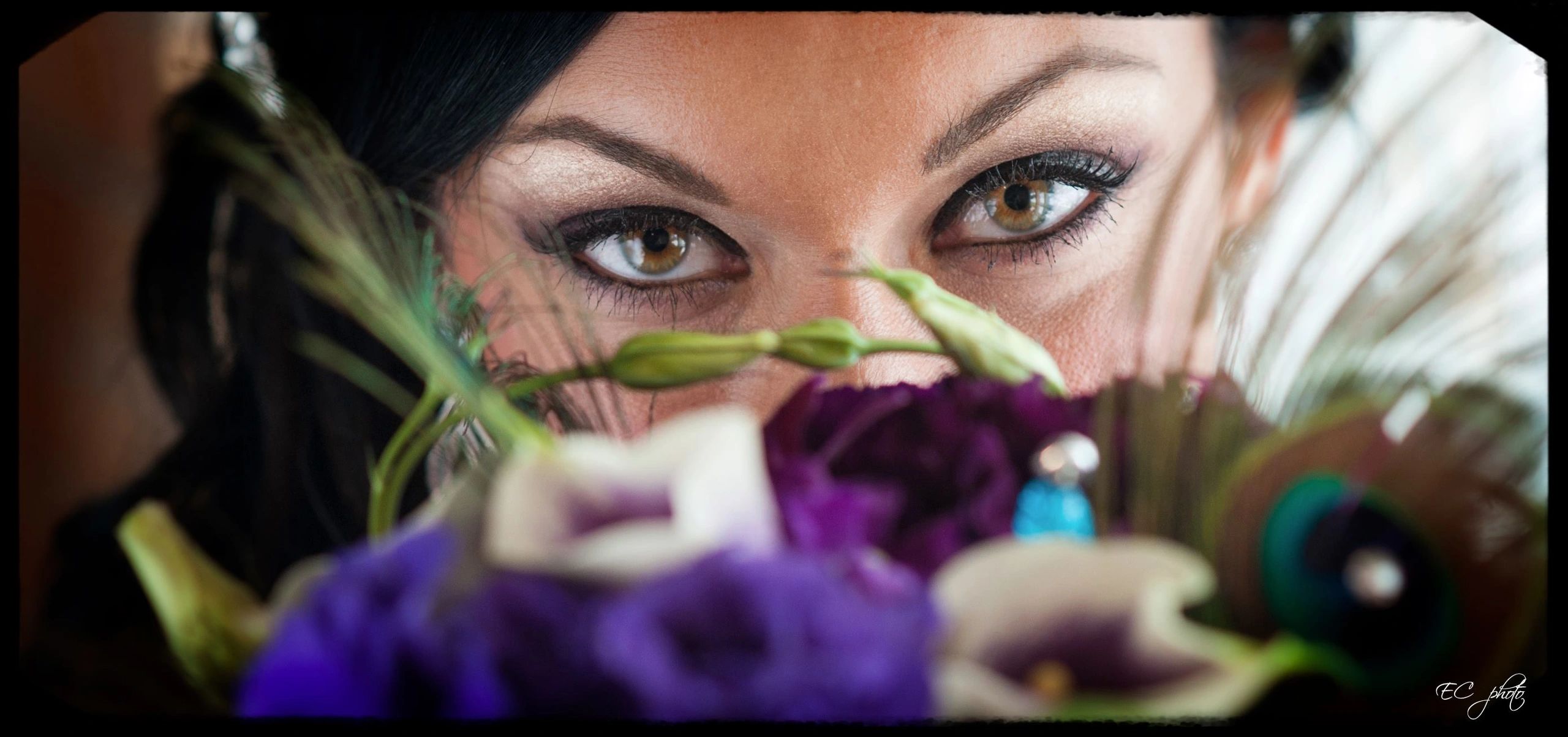 Ed Carlson Photography