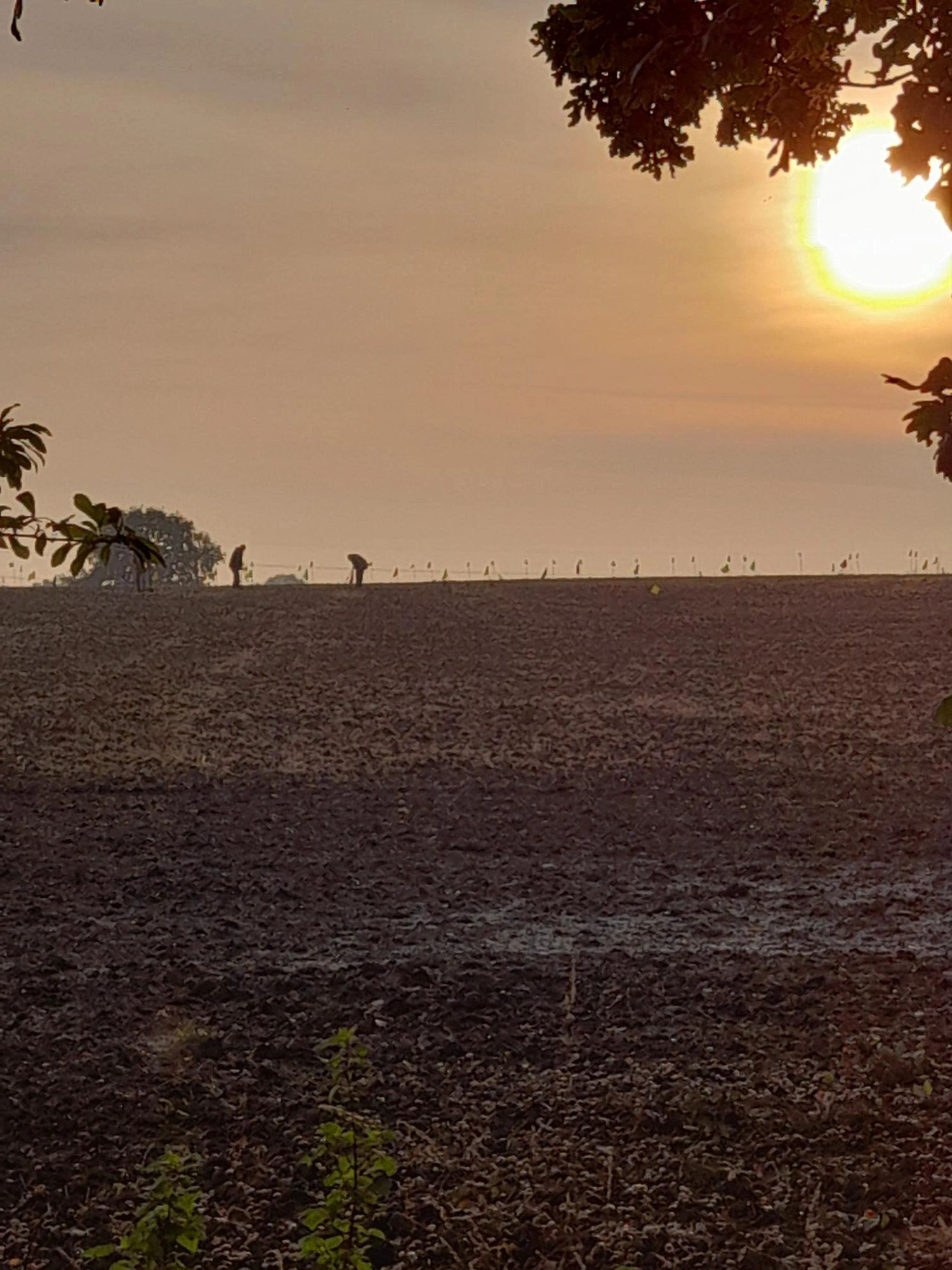 About Us – Beacon Archeology - Overview