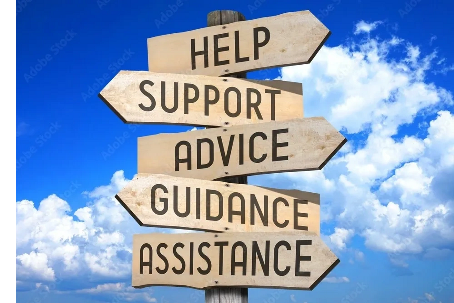 Faces of Lupus Organization - Living With Lupus, Lupus Support Groups ...