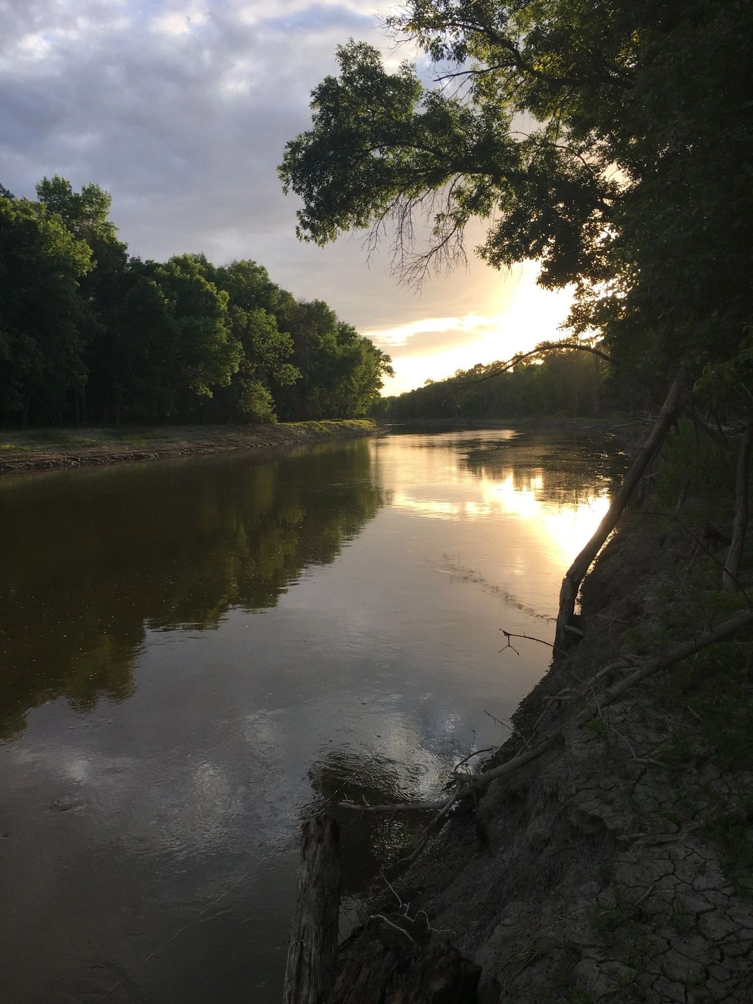 Experienced Estate Planning Attorney | Hermanson Law PLLC