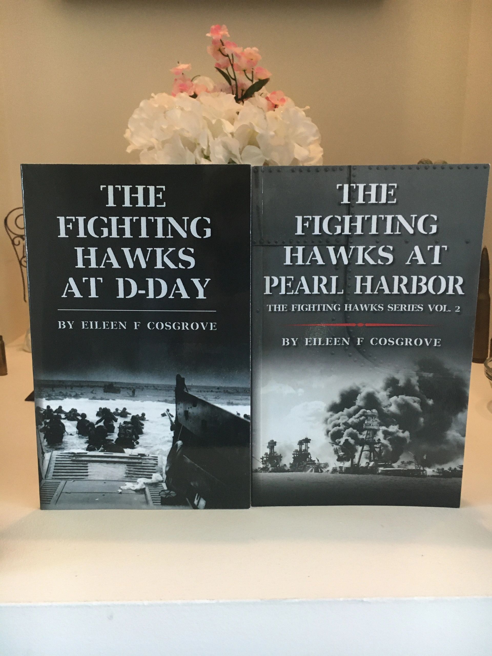 Historical Fiction - The Fighting Hawks Series