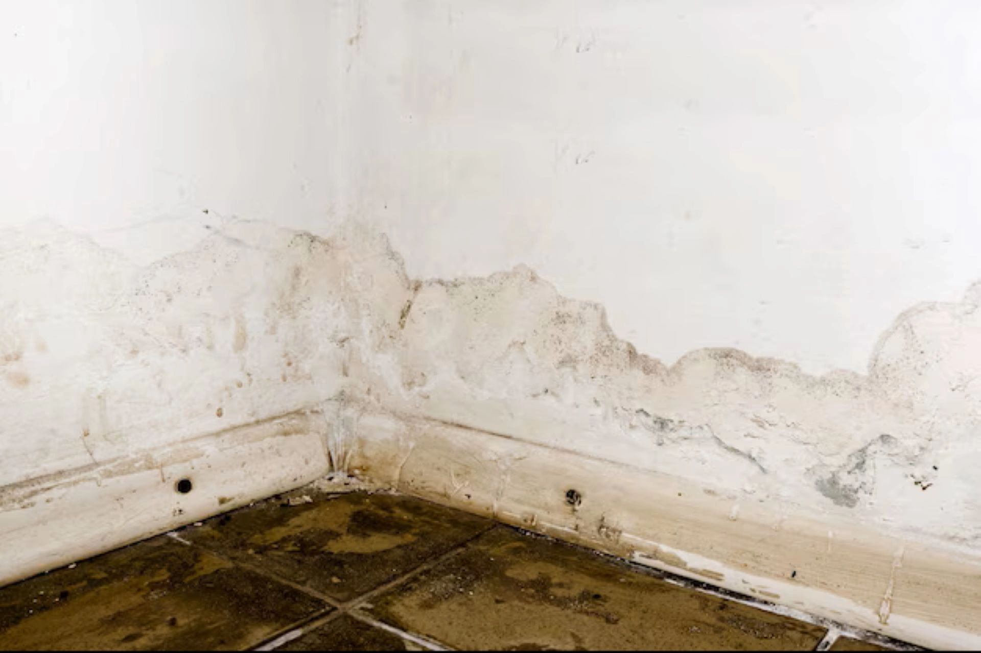 How to Spot Signs of Water Intrusion in Your Columbus Basement