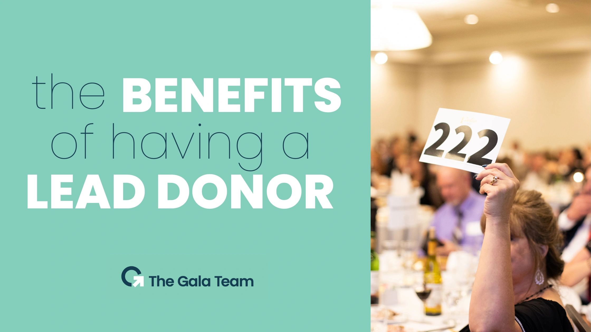 The Benefits of Having a Lead Donor in Your Paddle Raiser