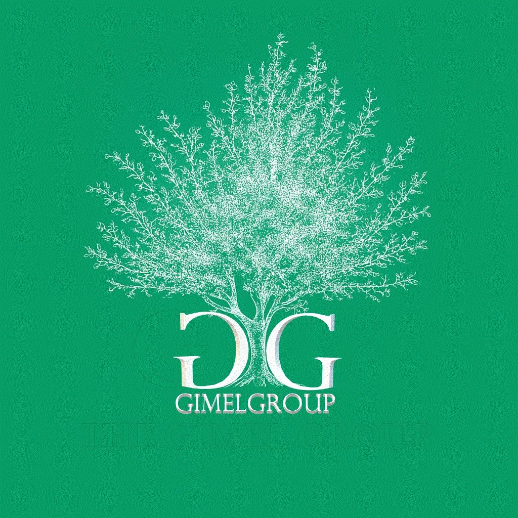 THE GIMEL GROUP - Strategy Planning, Private Consultant Contractor, Public Consultant Contractor