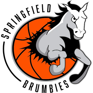 Our Clubs | Ipswich Basketball Association Inc