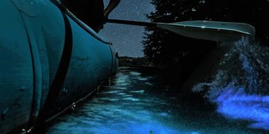 Florida Bioluminescence Tours - Clear Kayaking Tours - Bioluminescence ...