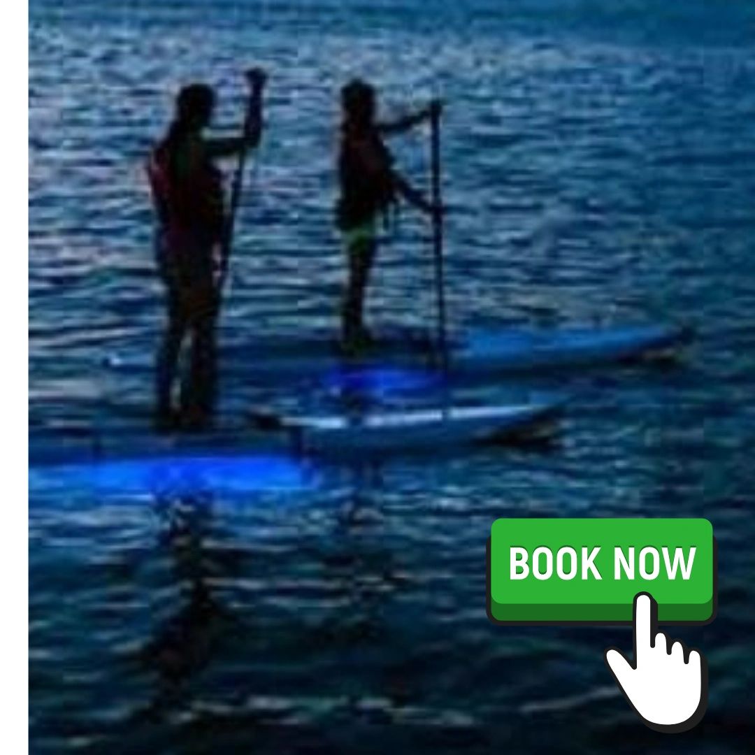 Paddler’s Paradise: Navigating Florida’s Bioluminescent Waters