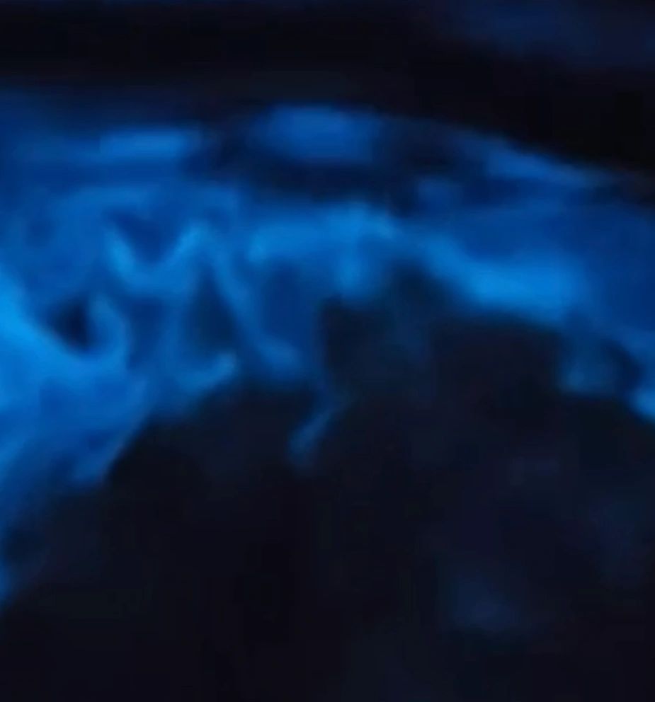 The 3 Best Spots to Enjoy A Radiant Night in Florida