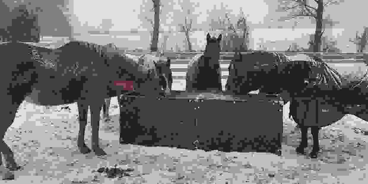 DIY Slow Feed Hay Feeders - Home