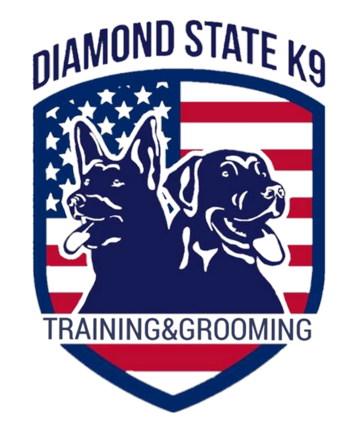 Diamond State K9 - Dog Training, Dog Boarding