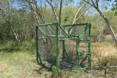 Cowbird Trapping - TW Biological Services | TW Biological Services