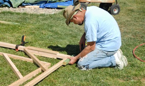 Cowbird Trapping - TW Biological Services | TW Biological Services