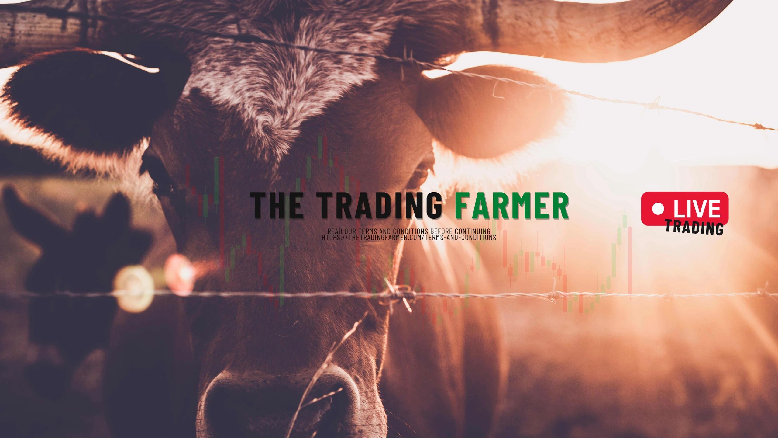 How To Day Trade For A Living