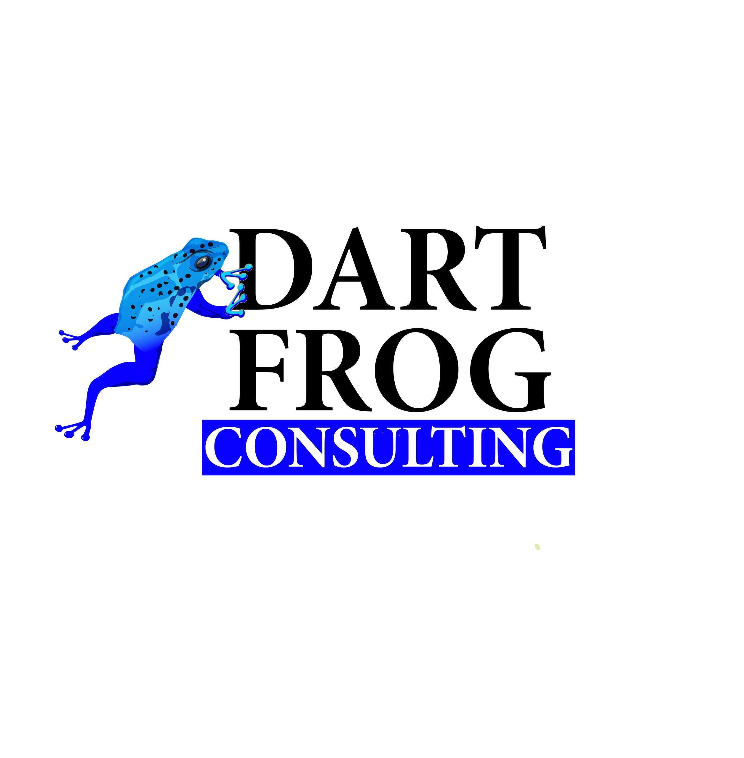 What We Offer | Dart Frog Consulting
