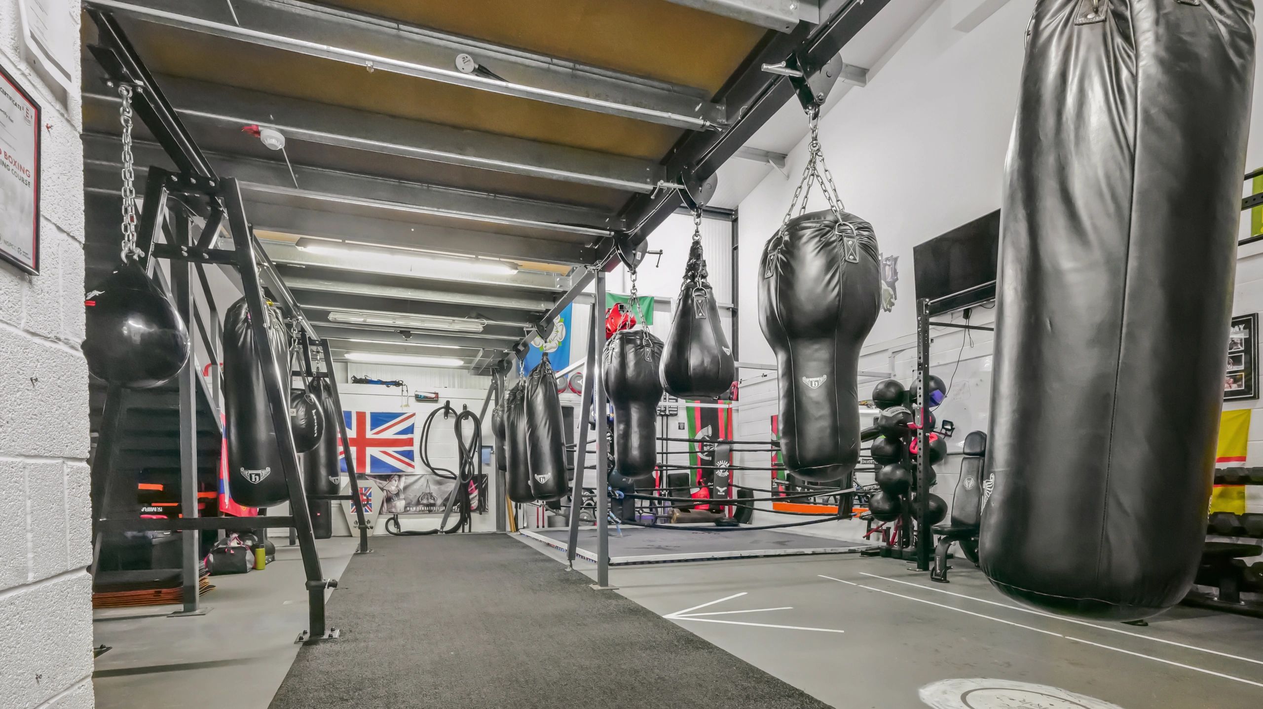 Ringwood Verwood Boxing