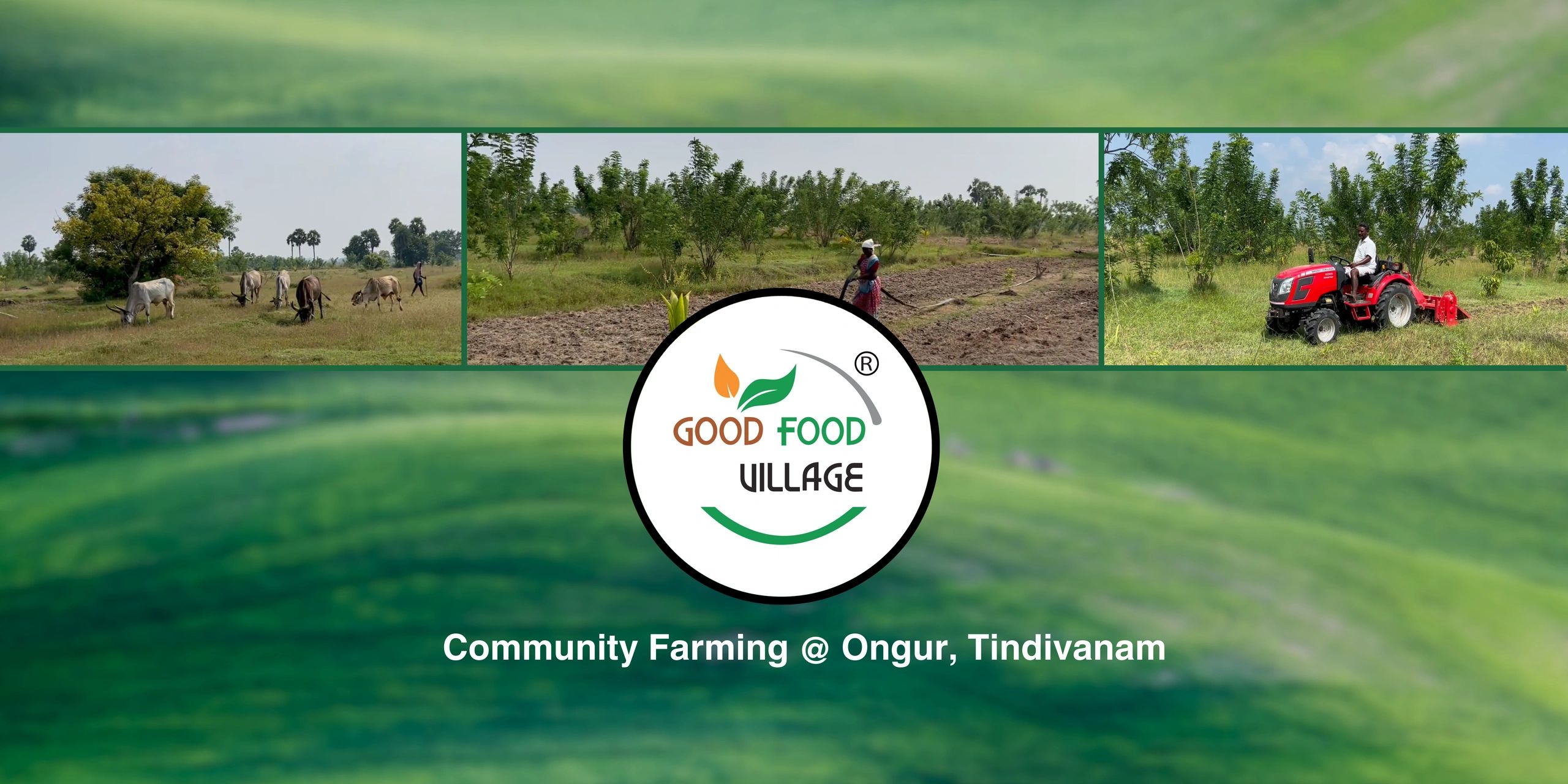 Managed Community Farm | Sustainable Agriculture | Good Food Village