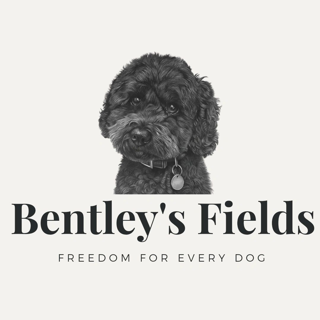 Welcome to Bentleys Fields - Freedom Fields for Dogs