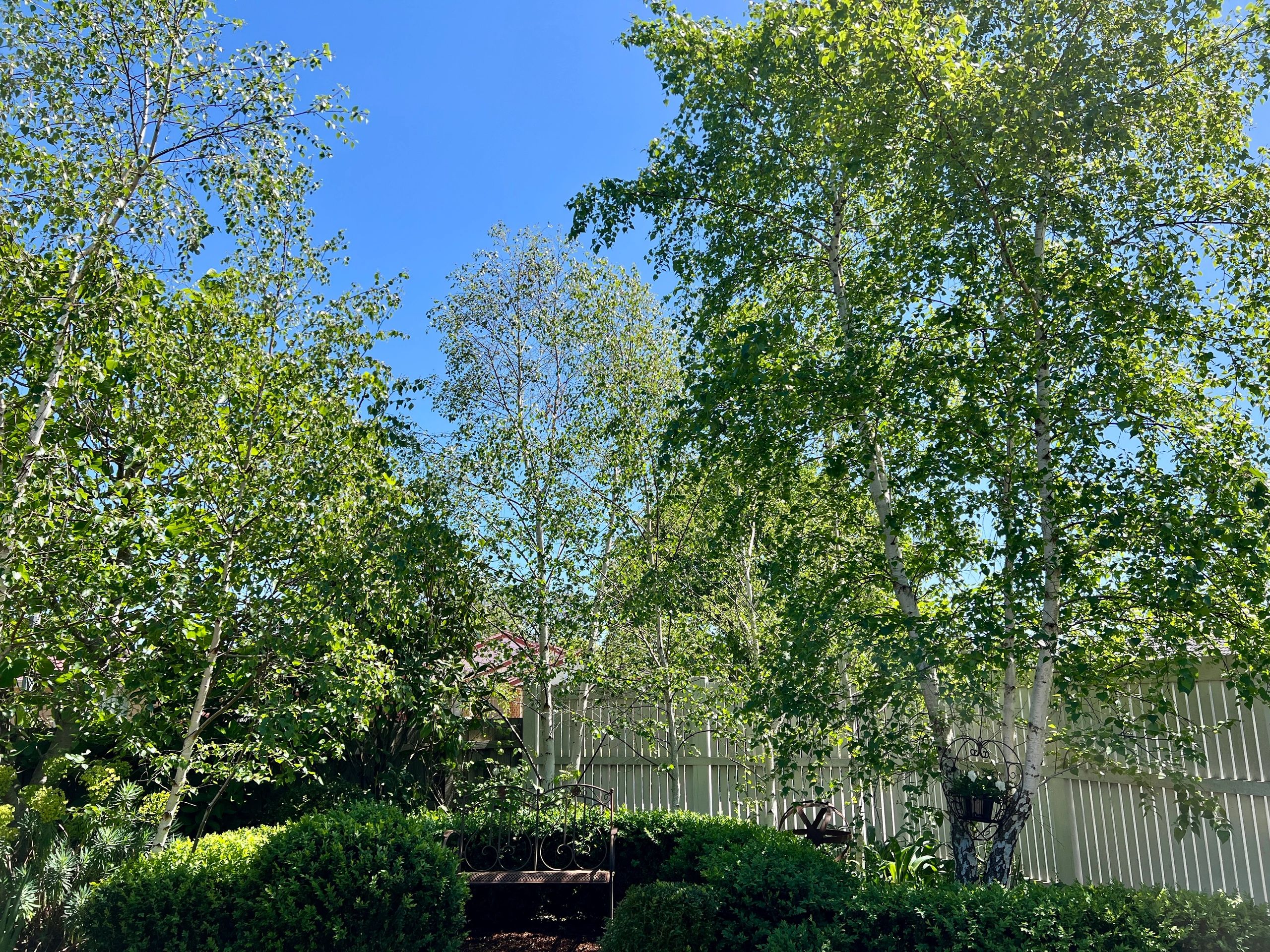 Julie Graham Landscape Design