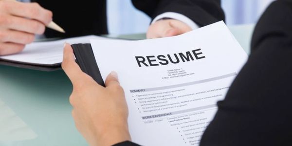 Employment Agency - Employment Tree