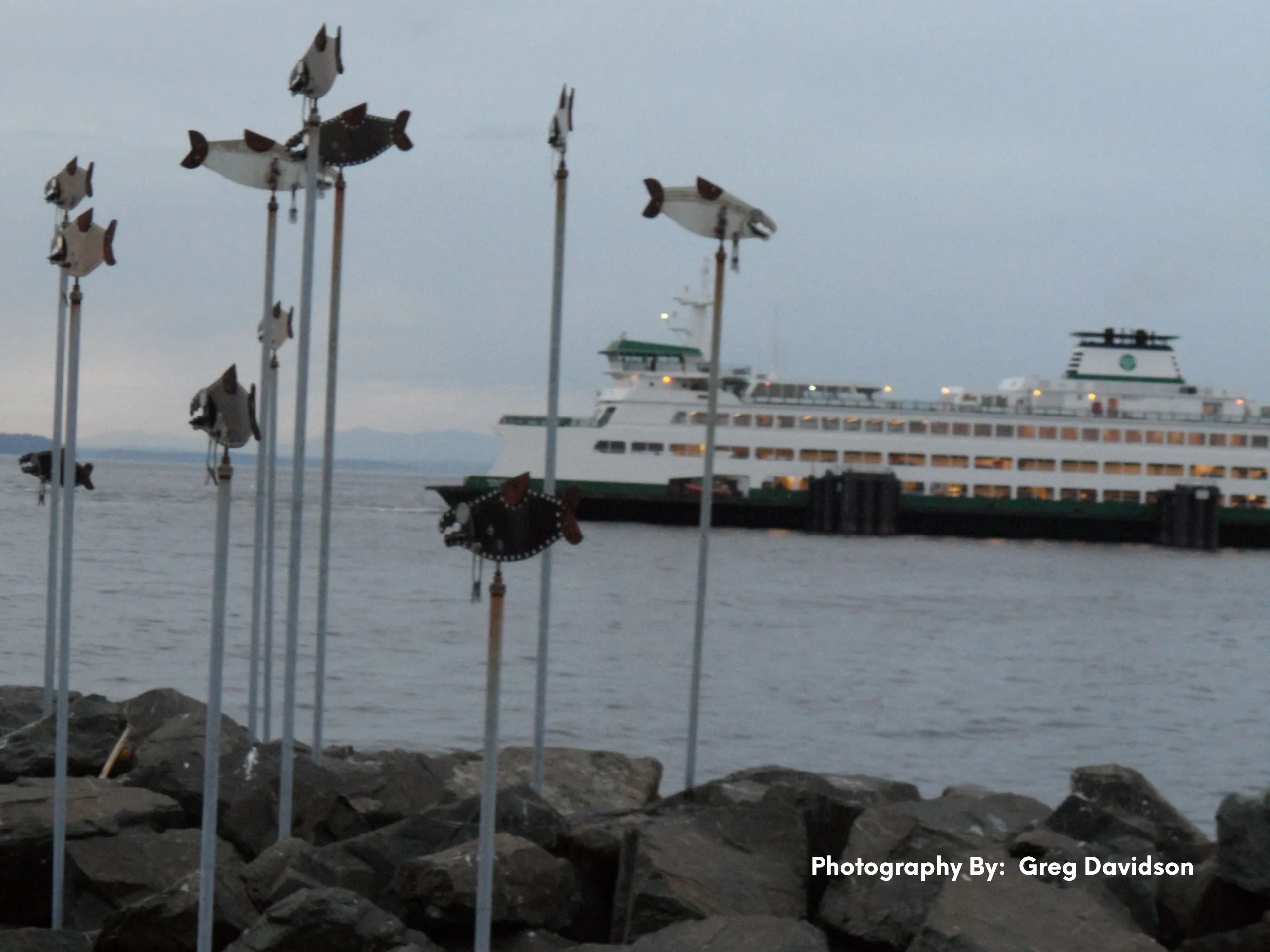 Edmonds Auto License