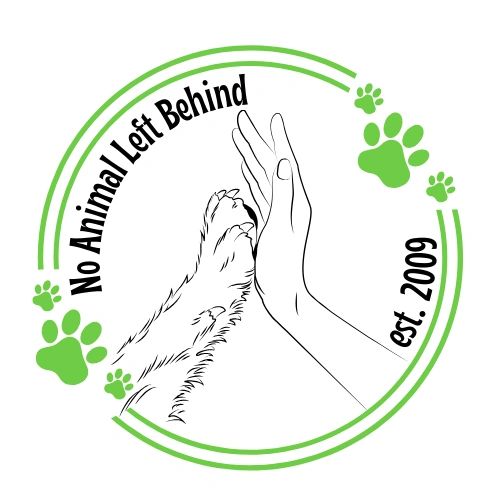 Annual Block Party, Utica