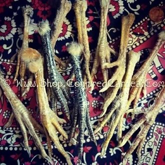 Chicken Foot-Defensive Magick, Purification, Hexing, Protection
