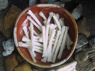 Large Coyote Bone-Luck, Cunning, Skill, Intellect, Strength
