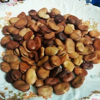 13 Mojo/African Wishing/Saint Joseph Beans-Good Luck, Mojos