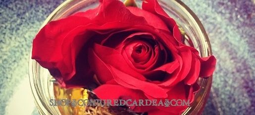 Conjured Cardea - Witchcraft Supplies, Spell Work Services
