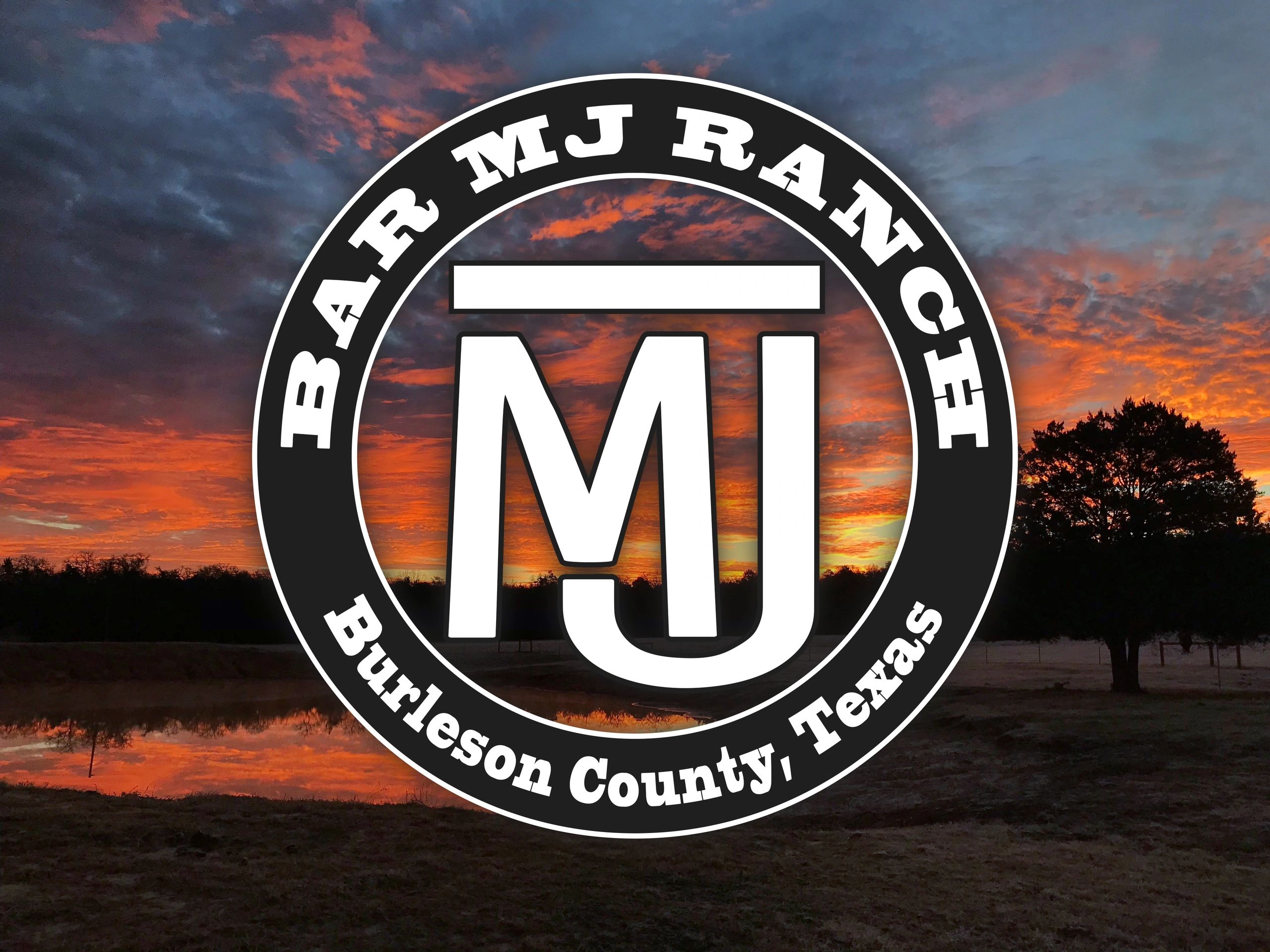 The Bar-MJ Ranch