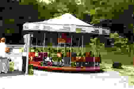 CAROUSELS | Euclid Beach Park Now