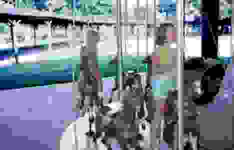 CAROUSELS | Euclid Beach Park Now
