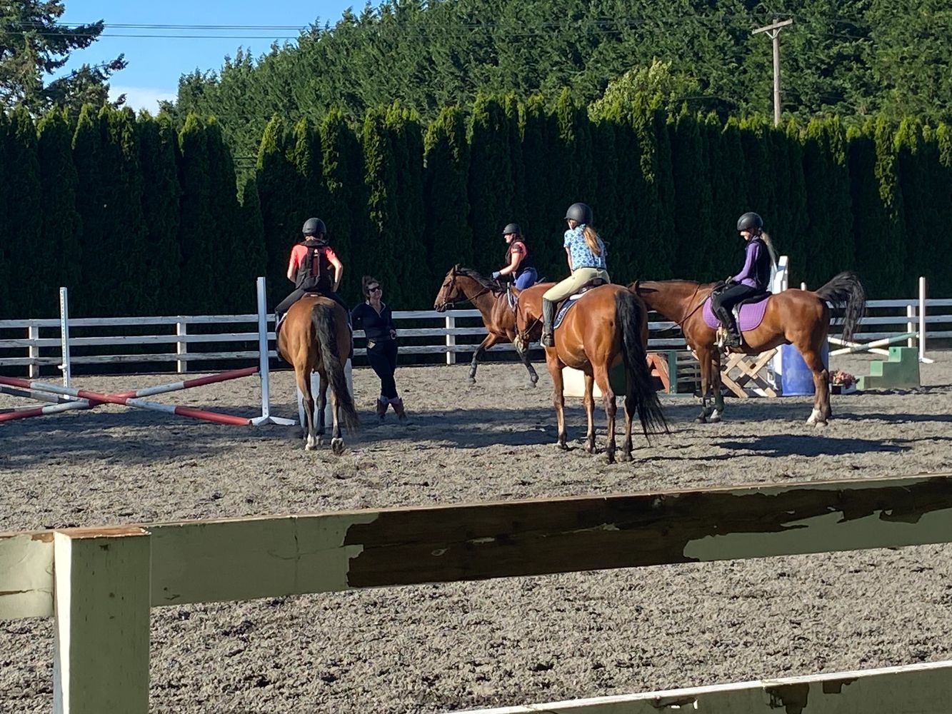 Experience the thrill of horseback riding and horsemanship at Rising ...