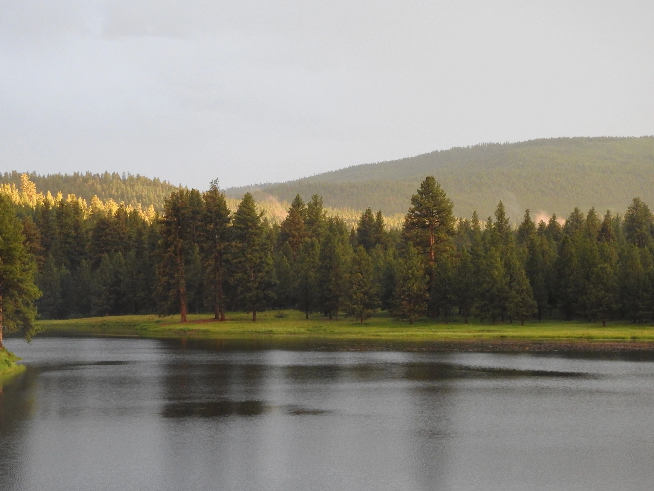 HOME [protecttheclearwatermt.org]