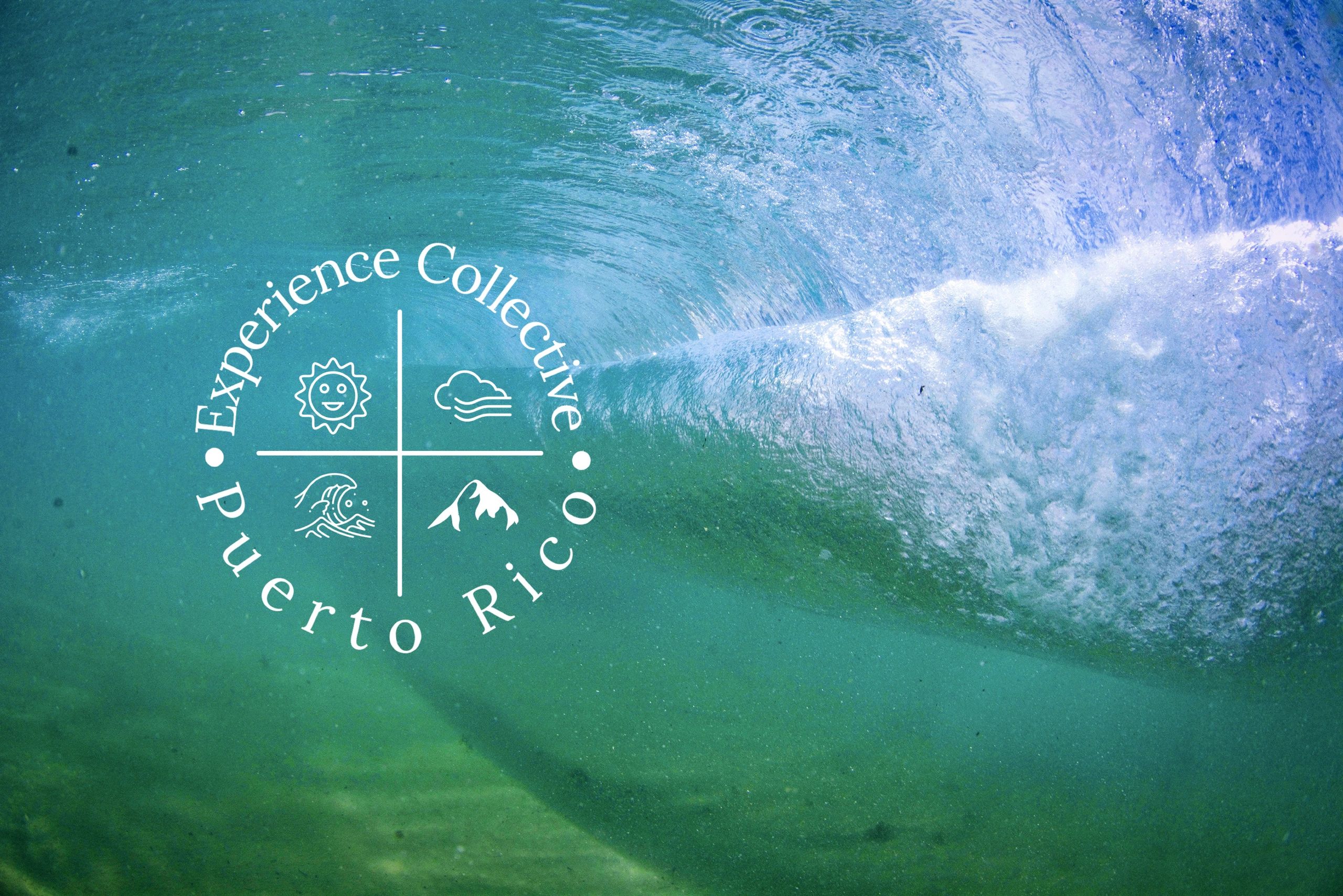 Experience Collective - Home