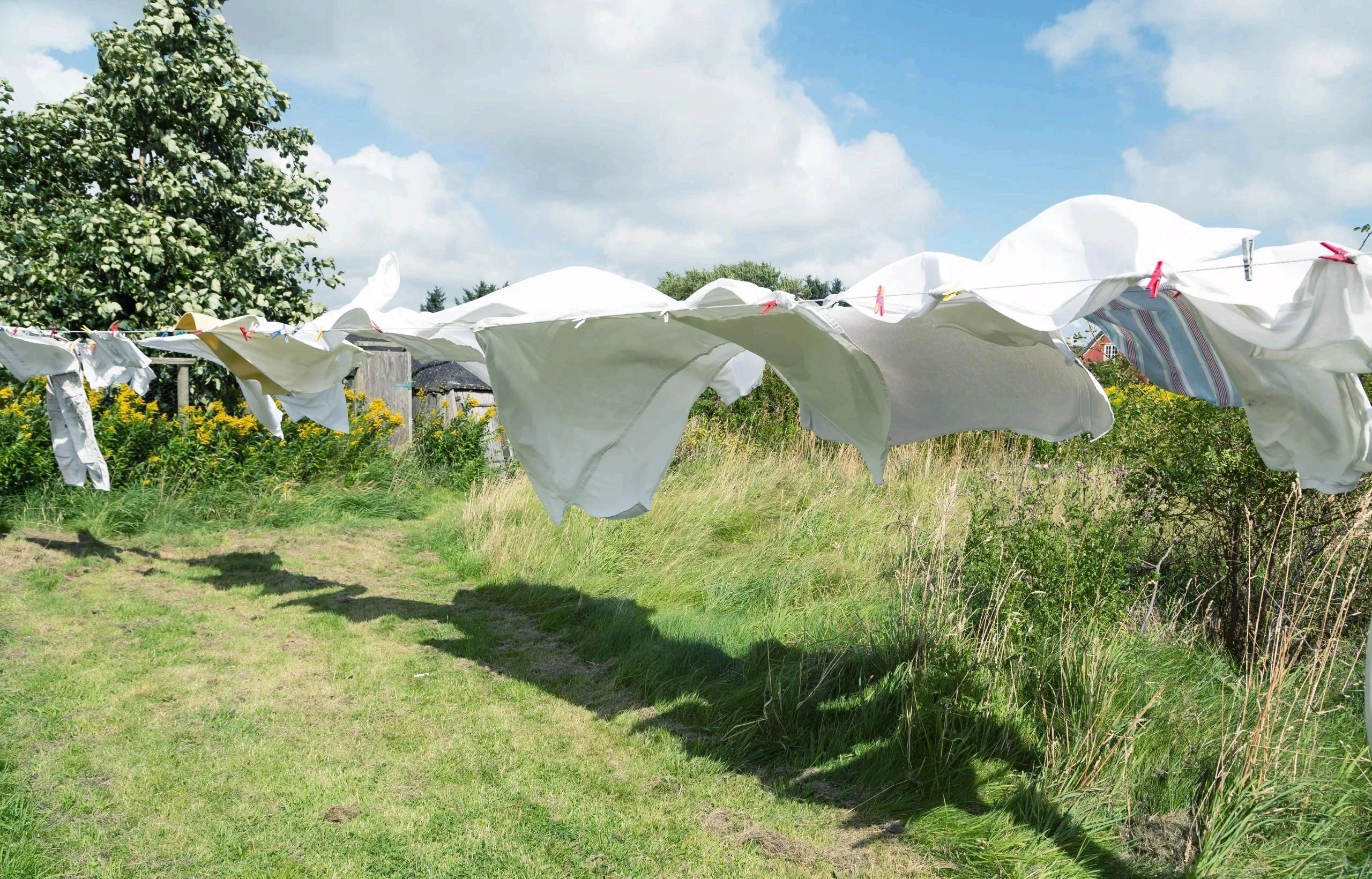 Anna Smith Strong Chapter NSDAR